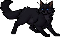 Perchpaw (MV) | Warriors Wiki | Fandom
