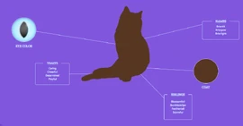 Warrior Cats website | Warriors Wiki | Fandom