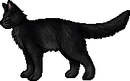 Mole (cat) | Warriors Wiki | Fandom