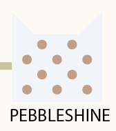 Pebbleshine | Warriors Wiki | Fandom