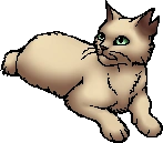 Berrynose | Warriors Wiki | Fandom