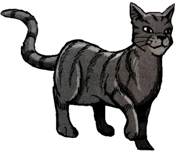 Stormcloud | Warriors Wiki | Fandom