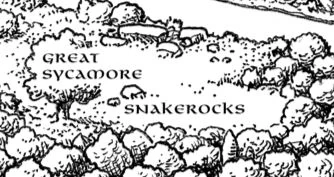 Snakerocks | Warriors Wiki | Fandom