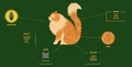 Lionblaze | Warriors Wiki | Fandom