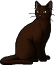 Shrewclaw | Warriors Wiki | Fandom