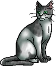 Ivypool | Warriors Wiki | Fandom