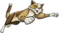 Sorreltail | Warriors Wiki | Fandom