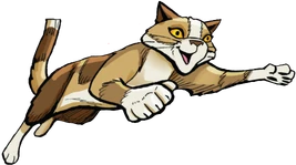 Sorreltail | Warriors Wiki | Fandom