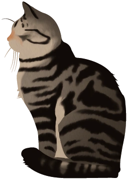 Wafflepelt | Warriors Wiki | Fandom