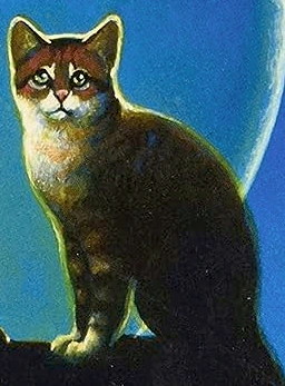 Crookedstar Warrior Cats