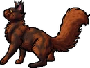 Redtail | Warriors Wiki | Fandom