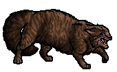 Sparrowfeather (DF) | Warriors Wiki | Fandom