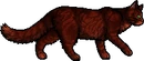 Russetfur | Warriors Wiki | Fandom