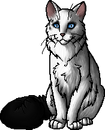 Darktail | Warriors Wiki | Fandom