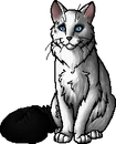 Darktail | Warriors Wiki | Fandom