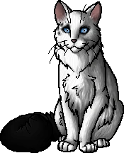 The Kin | Warriors Wiki | Fandom