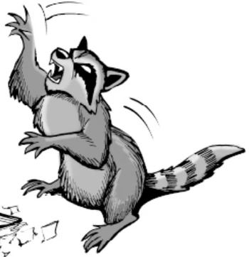 Raccoon | Warriors Wiki | Fandom