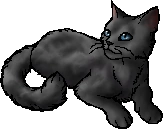 Shellheart | Warriors Wiki | Fandom