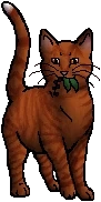 Alderheart | Warriors Wiki | Fandom