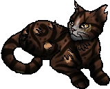 Purdy | Warriors Wiki | Fandom