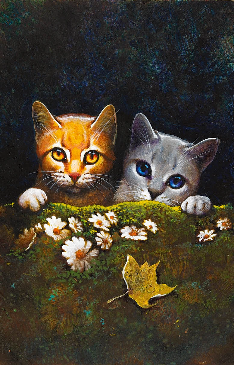 Warrior Cats Willowkit