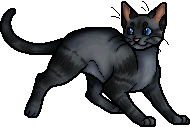 Harepaw (SF) | Warriors Wiki | Fandom
