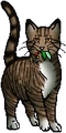 Leafpool | Warriors Wiki | Fandom