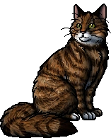 Mistpool | Warriors Wiki | Fandom