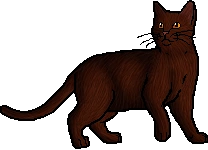 Acorn Fur | Warriors Wiki | Fandom