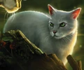 Needletail | Warriors Wiki | Fandom