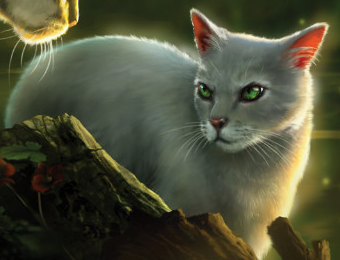 Needletail | Warriors Wiki | Fandom