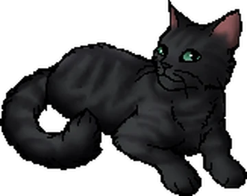 Warrior Cats Mothwing And Willowshine