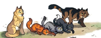 Apprentice | Warriors Wiki | Fandom