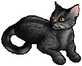 Webfoot | Warriors Wiki | Fandom