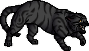 Tigerstar And Darkstripe