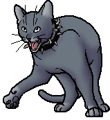 Warriors Wiki talk:Charart/Tweaked 232 | Warriors Wiki | Fandom