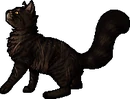 Tigerstar (TPB) | Warriors Wiki | Fandom