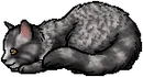 Willowbreeze | Warriors Wiki | Fandom