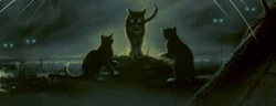 The Place of No Stars (residence) | Warriors Wiki | Fandom