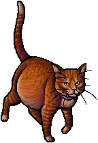 Firefly | Warriors Wiki | Fandom