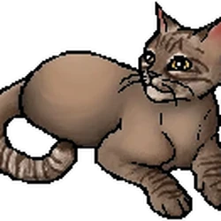 warrior cats revived