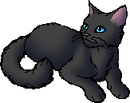 Softpelt | Warriors Wiki | Fandom