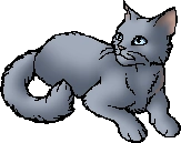 Bluestar | Warriors Wiki | Fandom