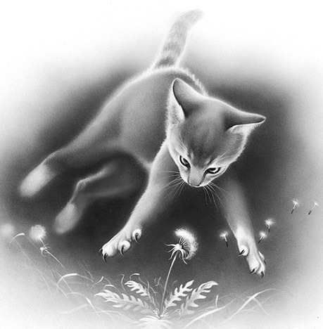 Path of Stars/Chapter 1 | Warriors Wiki | Fandom