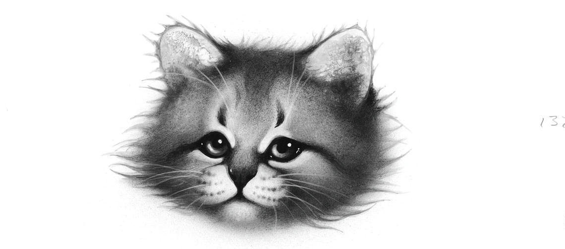 Code of the Clans/Code 15 | Warriors Wiki | Fandom