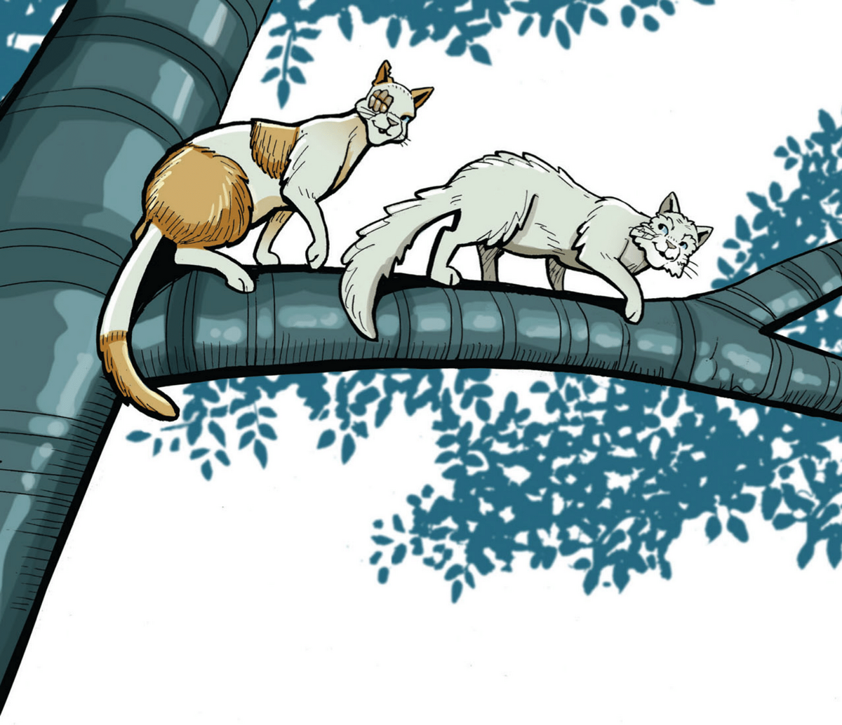 A Thief in ThunderClan/Part 1 | Warriors Wiki | Fandom