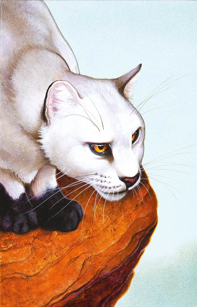 Warrior Cats Blackstar And Russetfur