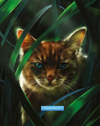 Hawkfrost | Warriors Wiki | Fandom