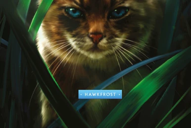 Warrior Cats How Did Hawkfrost Die