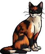 Tawnypelt | Warriors Wiki | Fandom